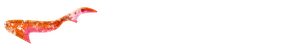 Gallery 3 — A S P H A A A L T