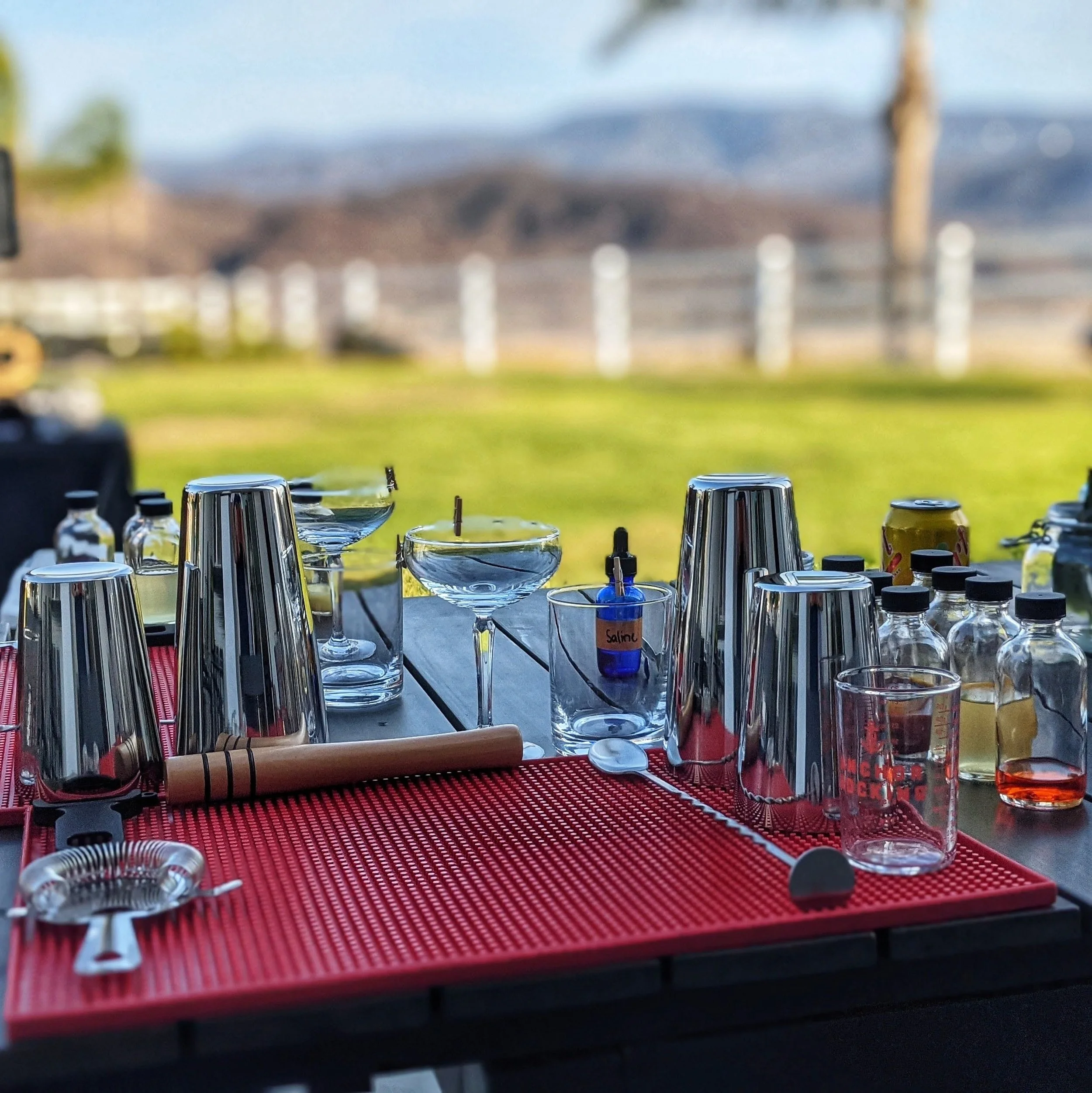 Mixology & Craft Cocktail Classes — Twist & Bitters