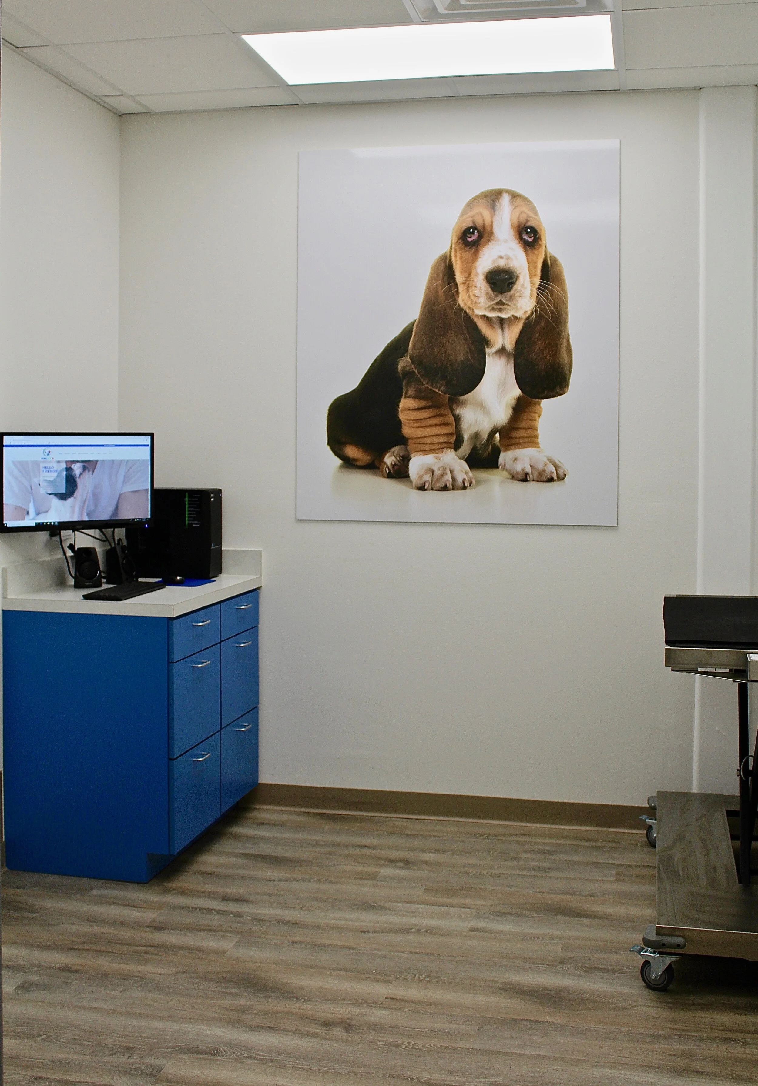 Trail Pet Hospital