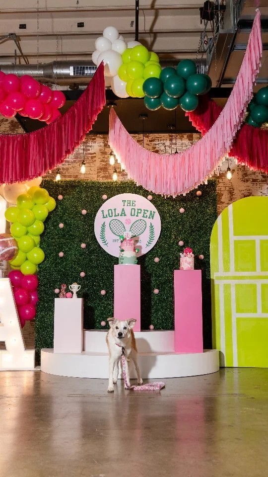 Dallas Fort Worth's Balloon Arch & Balloon Decorations