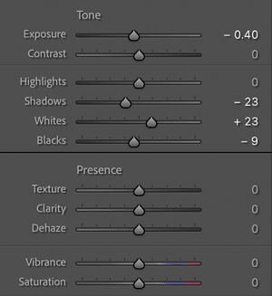 How to Edit Dark and Moody Portraits Like a Pro — Editing With Jazzie