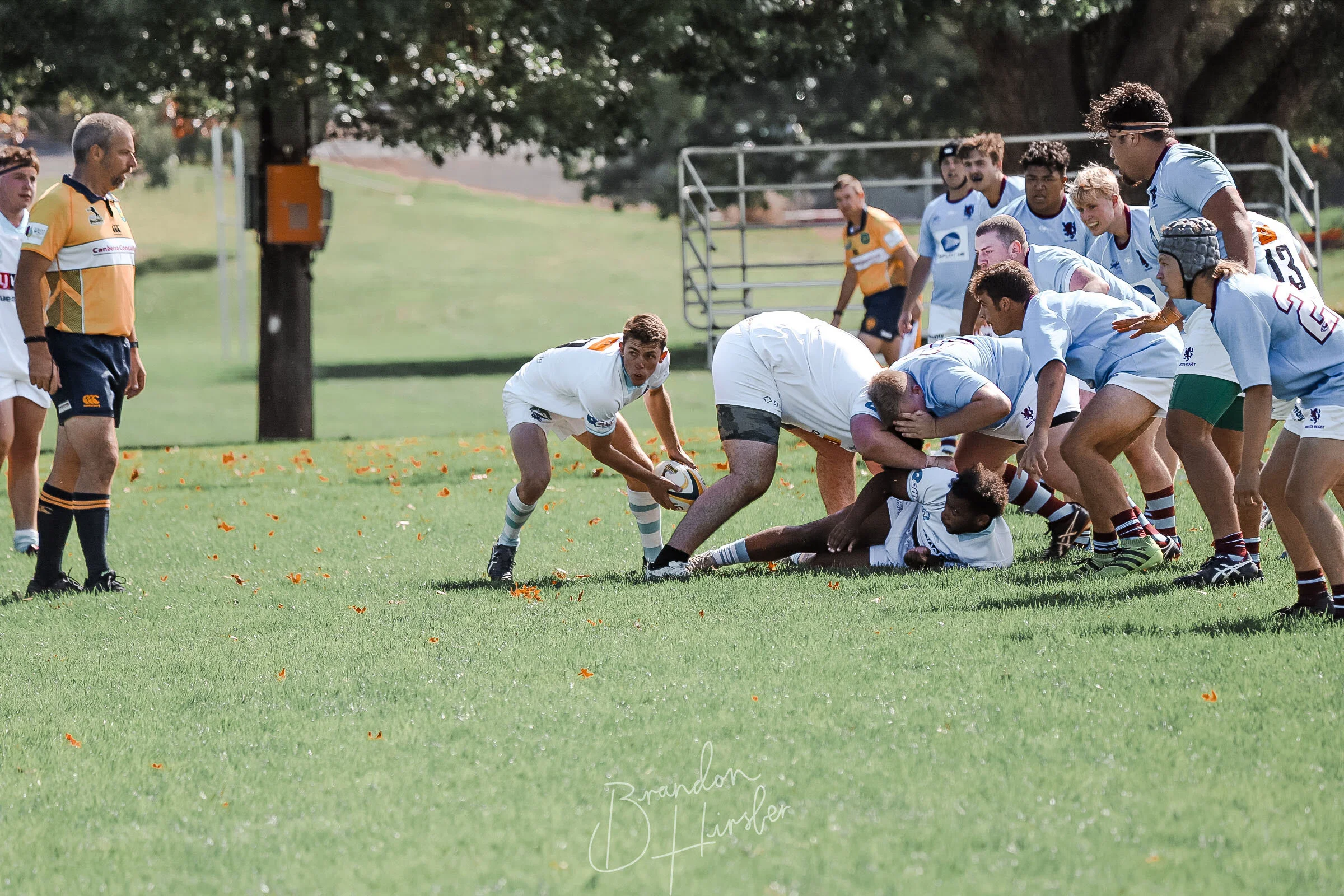 Our Team - Queanbeyan Whites