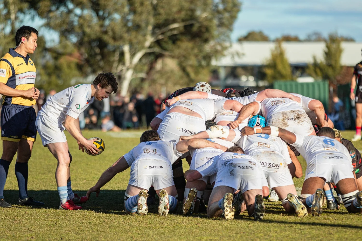 Our Team - Queanbeyan Whites