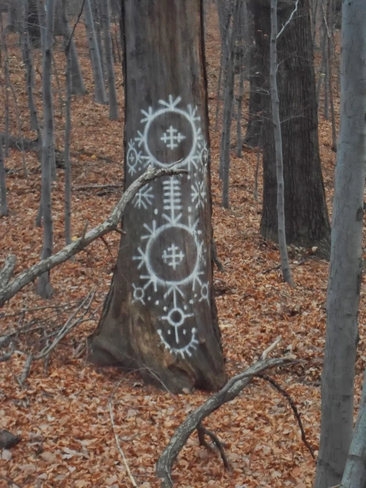 Offerings for Sacred Places in Nature | Living Through Nature