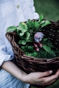 Offerings for Sacred Places in Nature | Living Through Nature