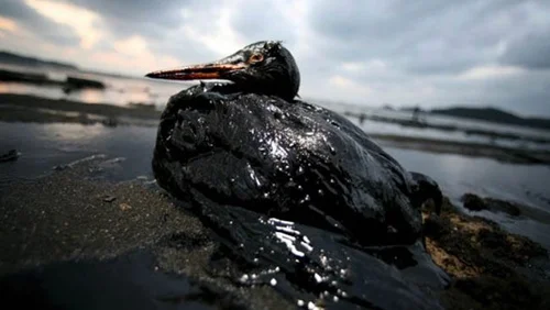 What are tar sands? — Keepers of the Water