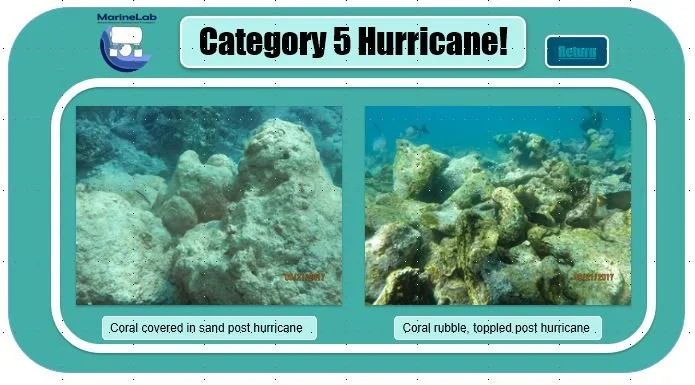 FREE marine science learning resources — MarineLab