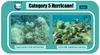 FREE marine science learning resources — MarineLab