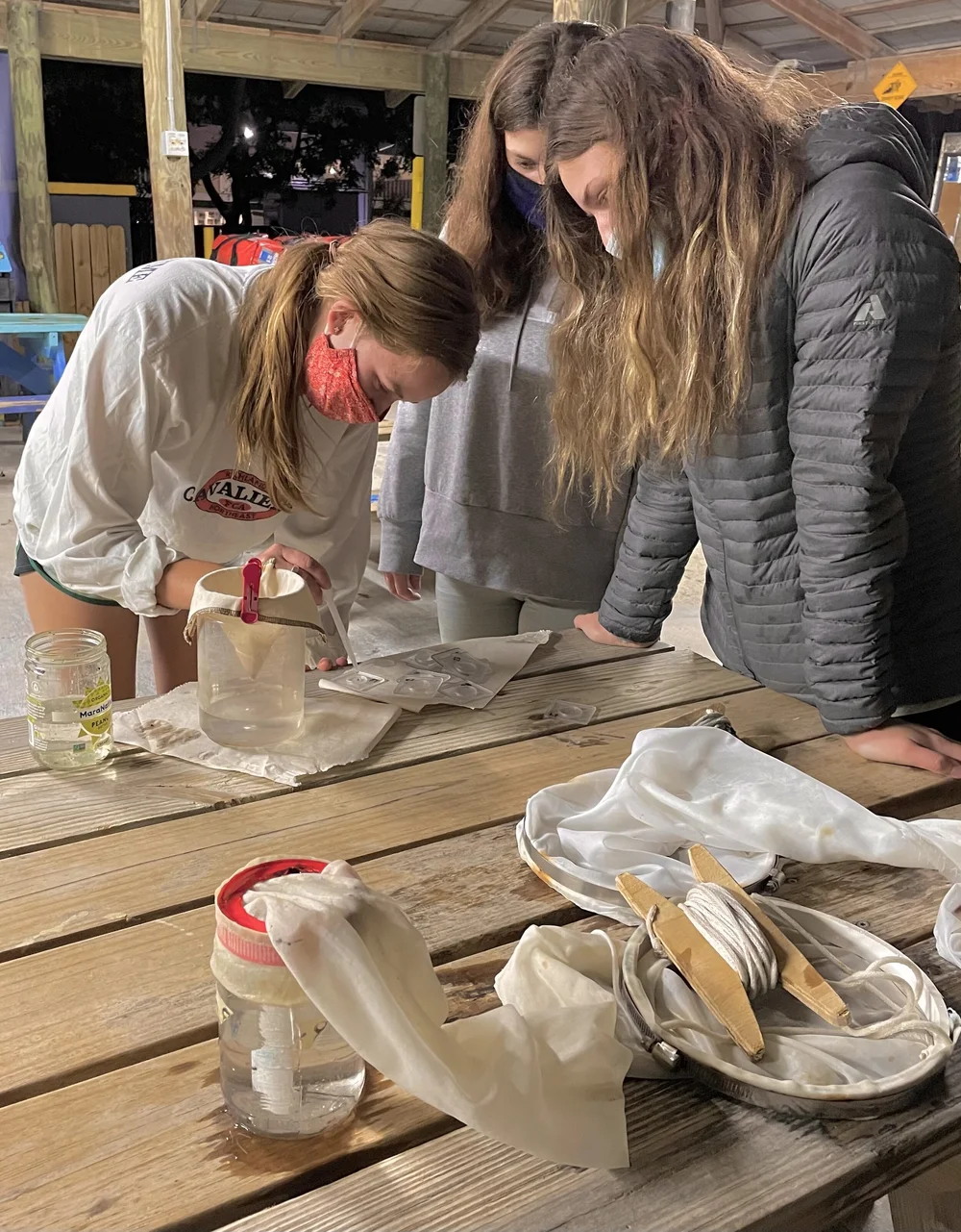 Marine Science Field Trips — MarineLab