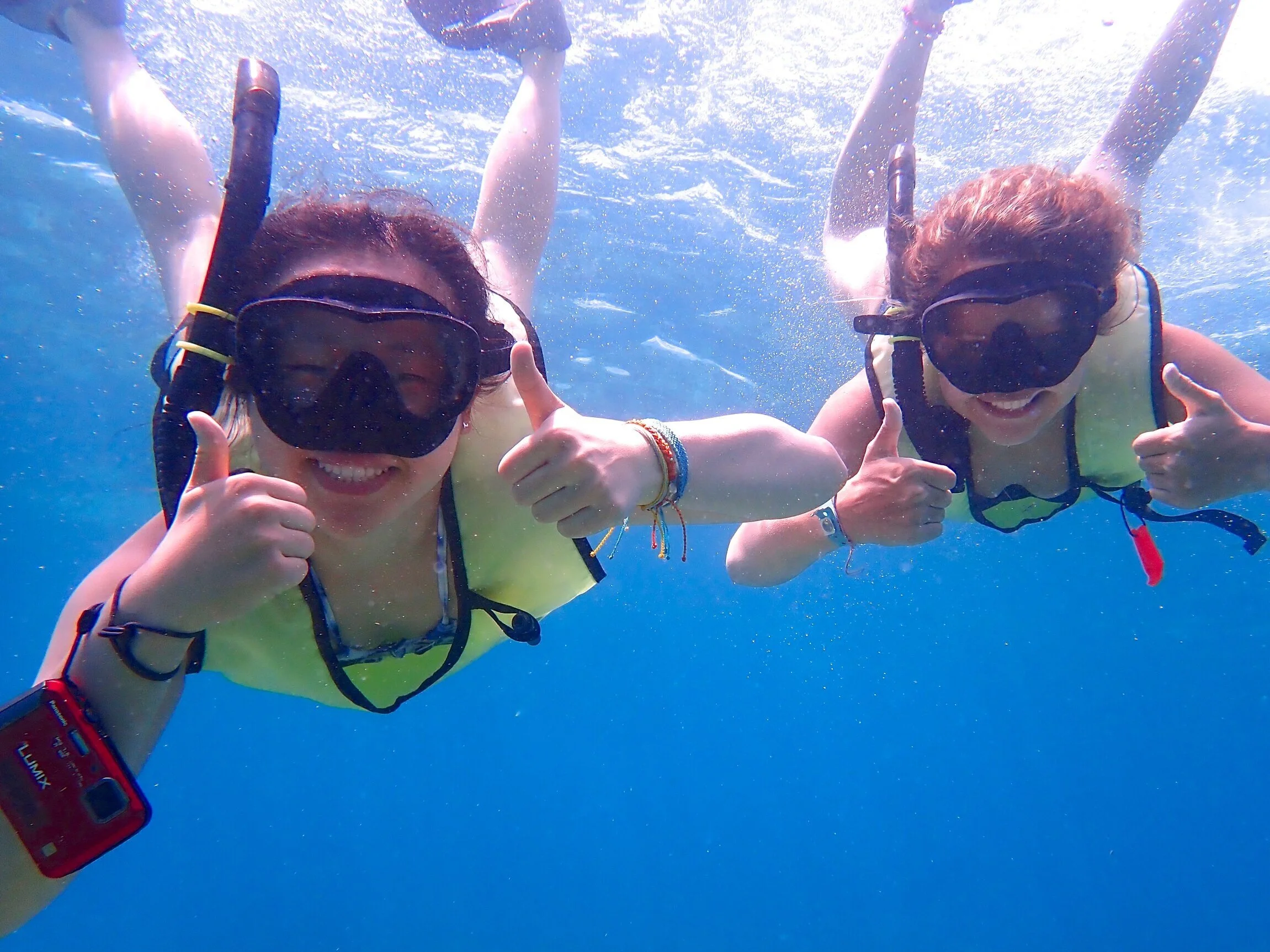 Marine Science Field Trips — MarineLab