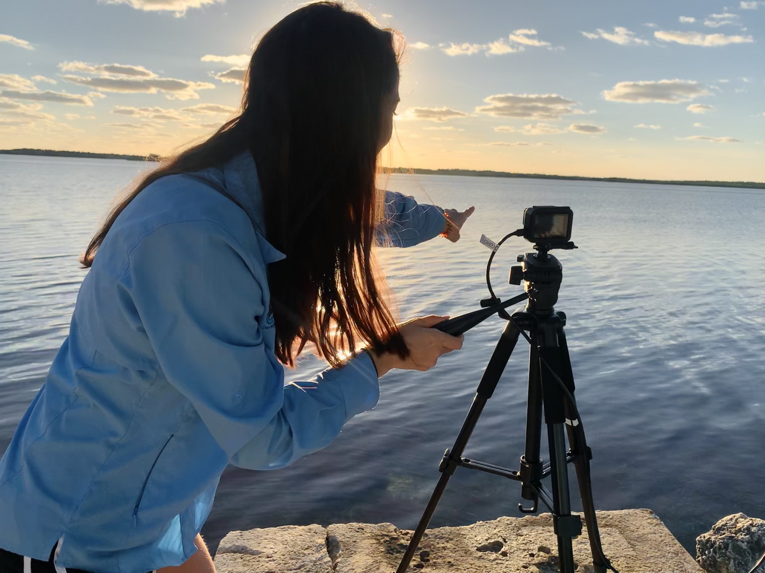 Virtual Field Trips — MarineLab