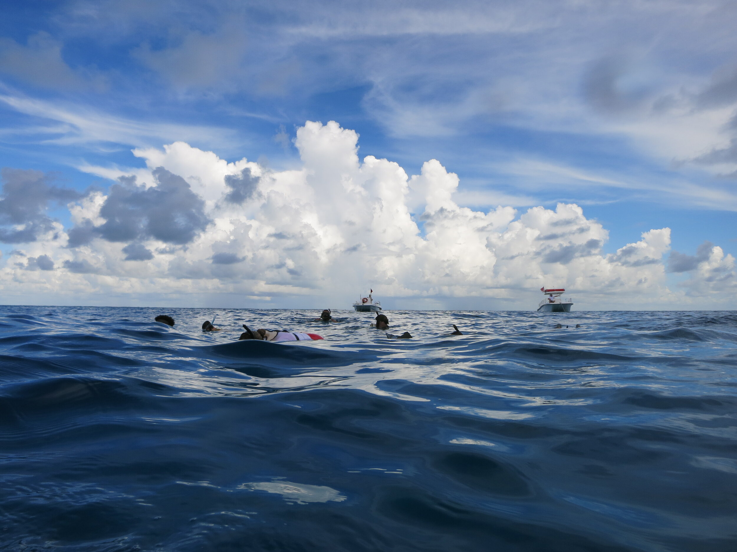 Family and Individual Marine Science Trips — MarineLab