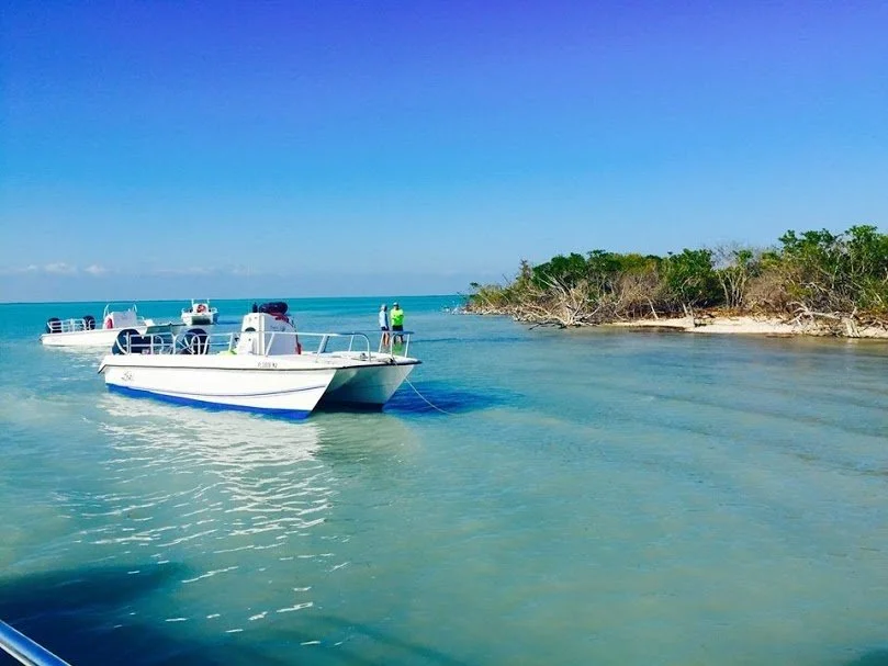 The Land We’re On — MarineLab