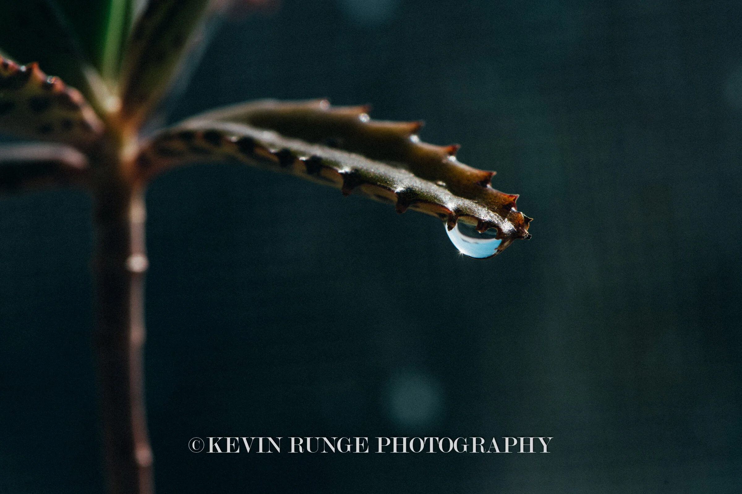 About — Kevin Runge Photography