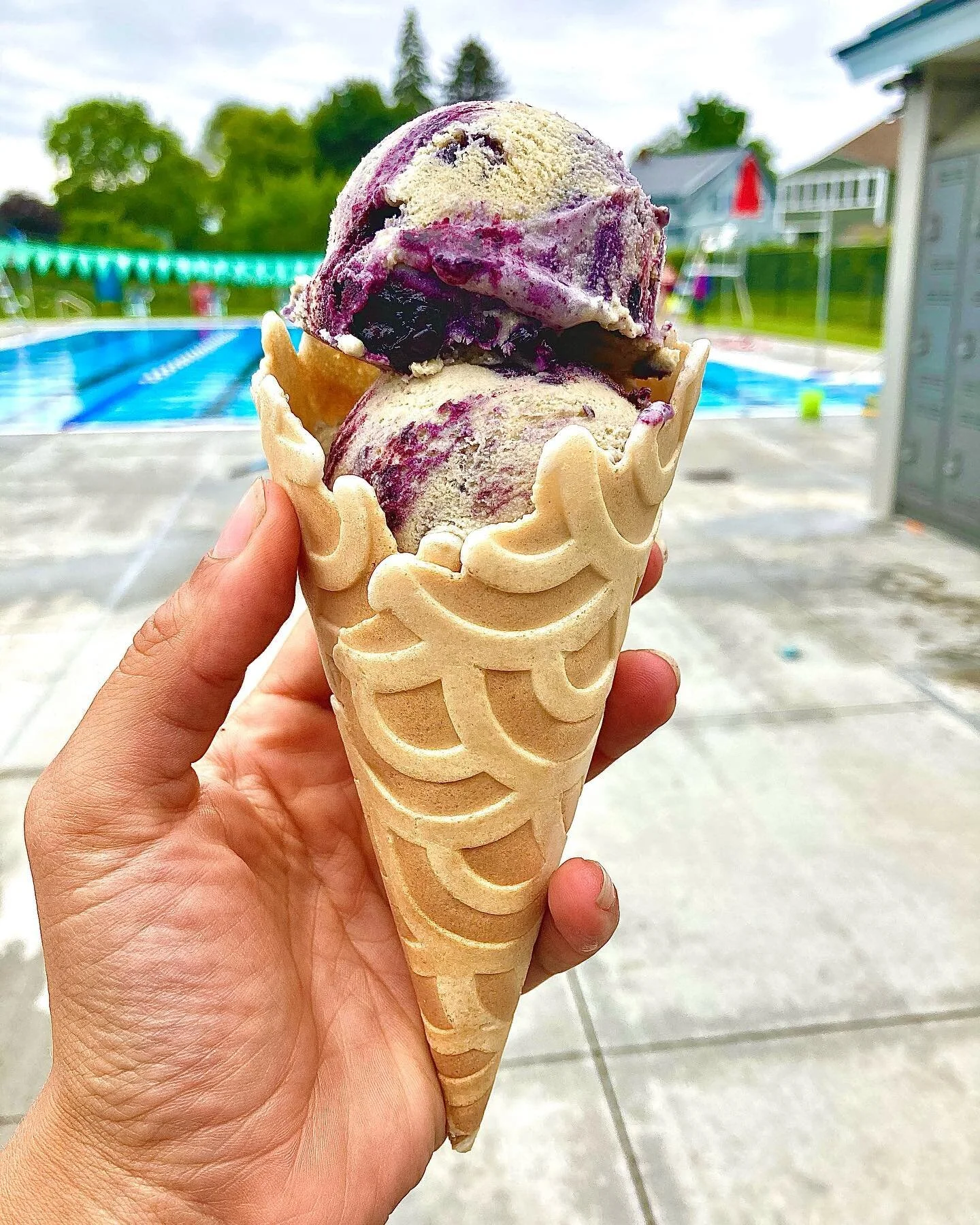 Offbeat Creemee | Winooski's Best Vegan Ice Cream, Creemees, and ...