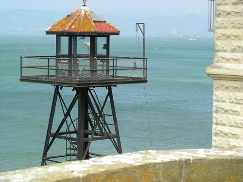 Contact — Joshua Shank