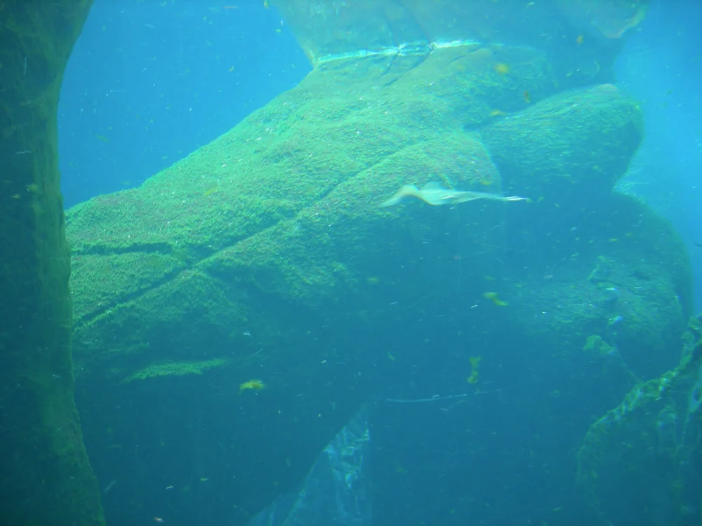 He Was Singing — Joshua Shank