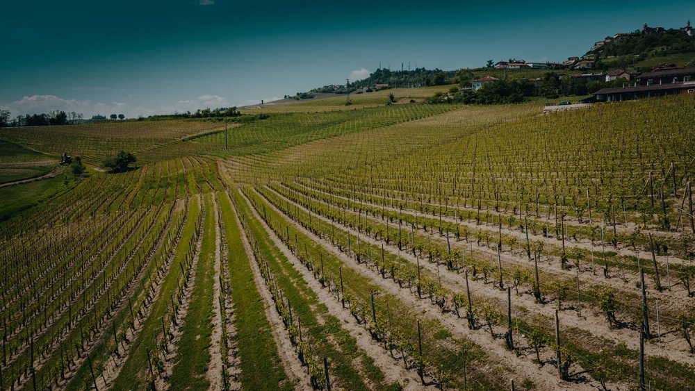 Rootstock - About Us — Rootstock