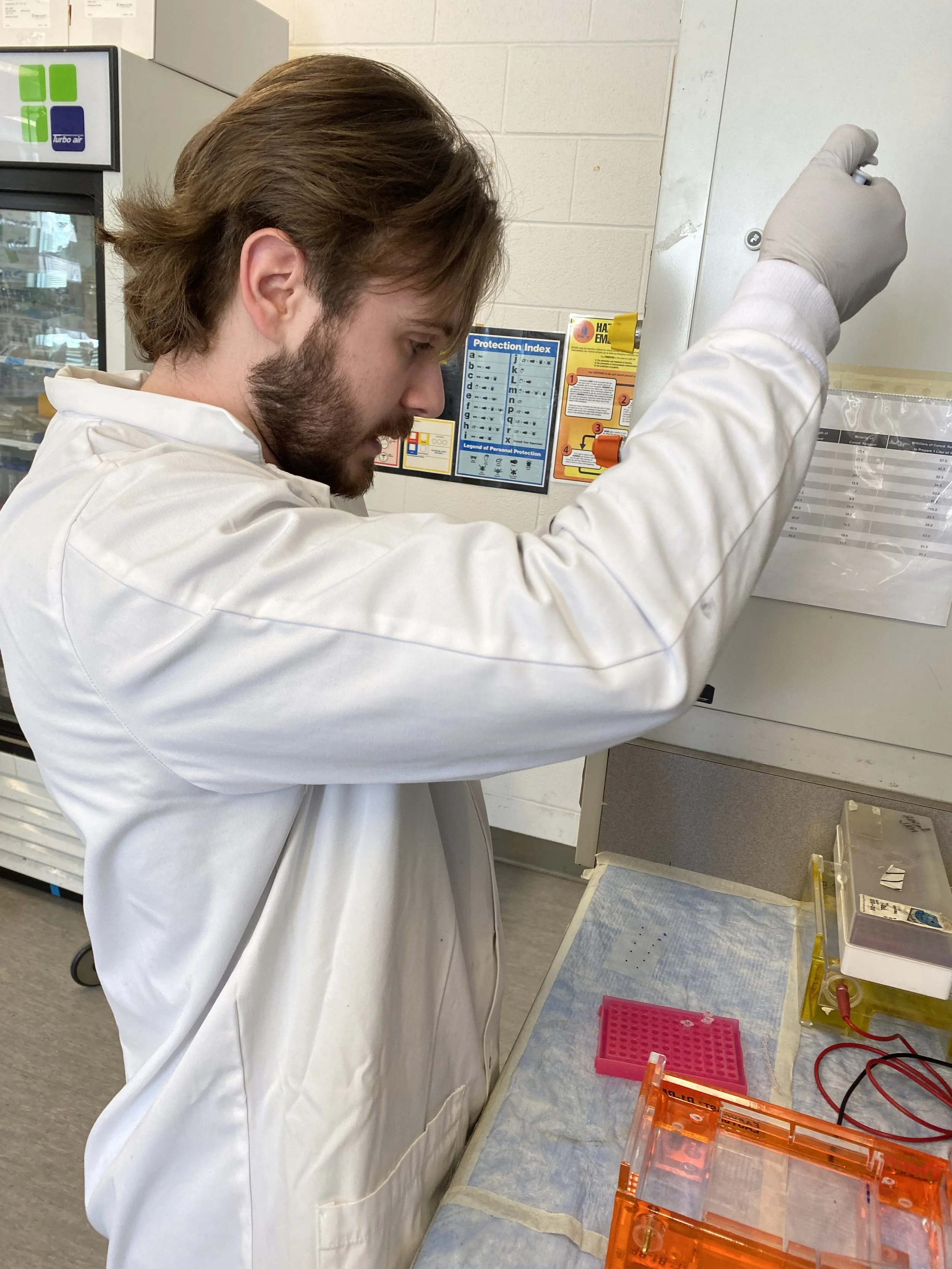 Current Team — McCormick Lab