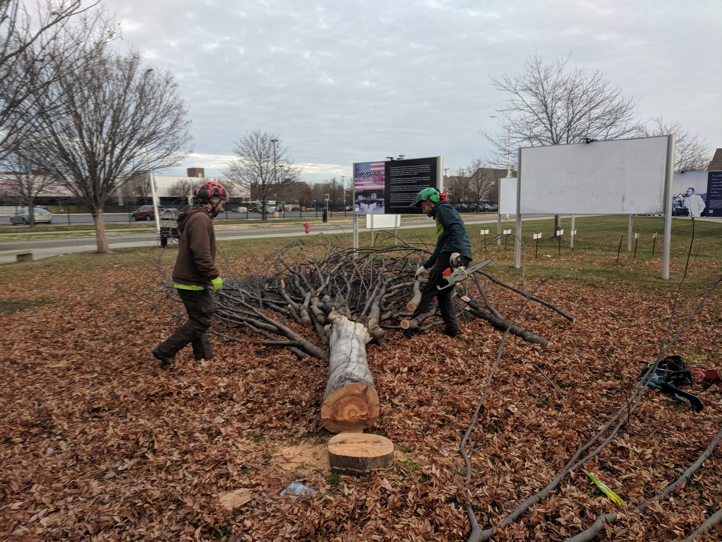 General 2 — d.Tree Project Detroit