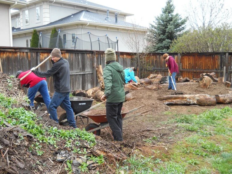 Living Systems Institute