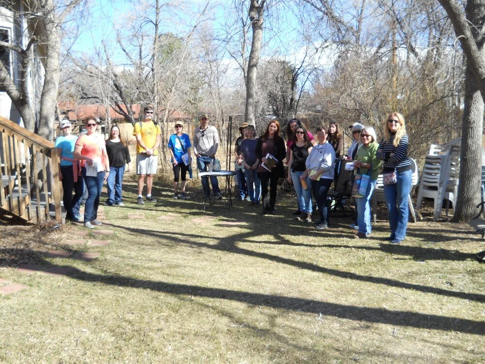 Education & Internships — Living Systems Institute