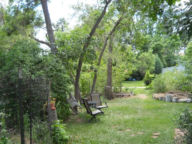 Living Systems Institute