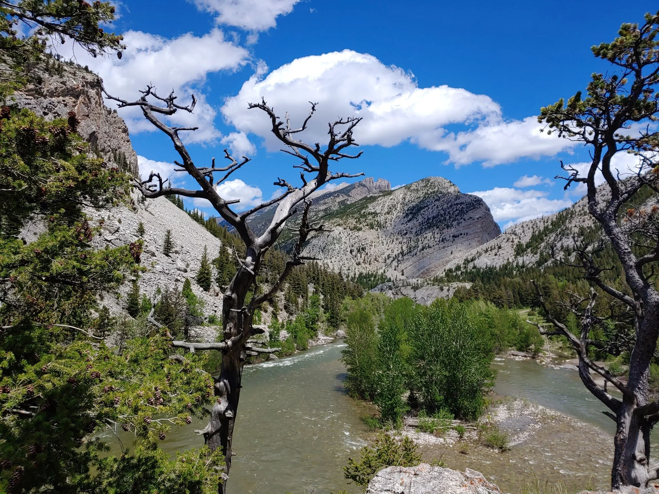 General 1 — SUN RIVER WATERSHED GROUP