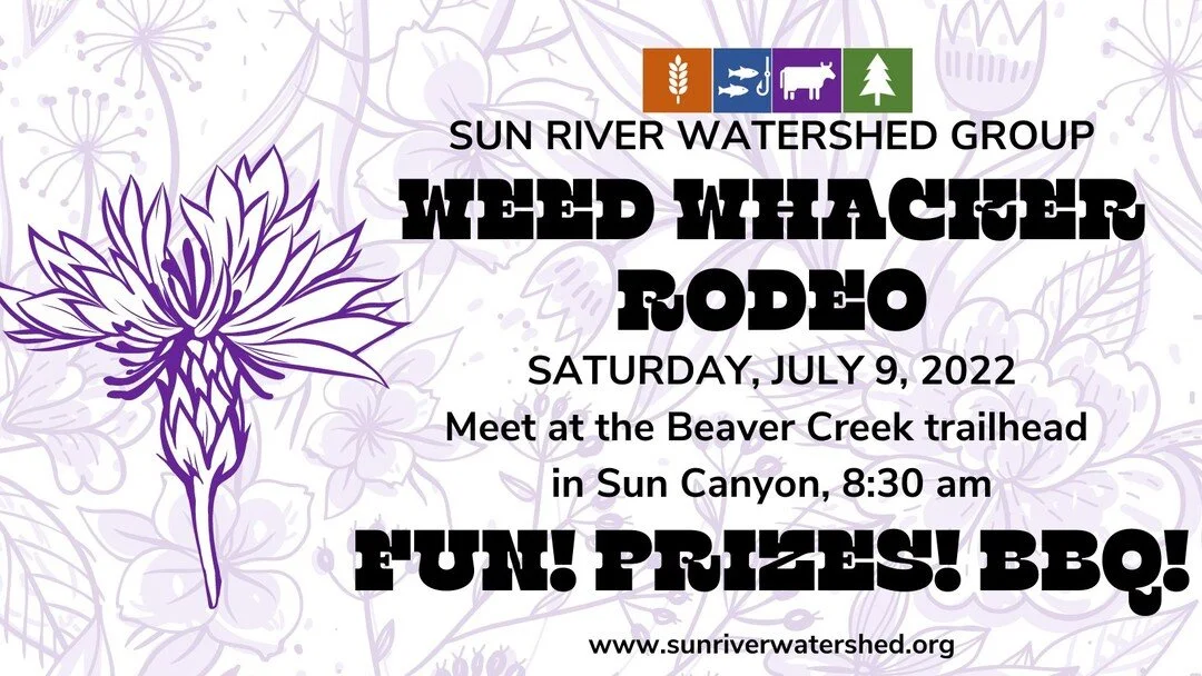 SUN RIVER WATERSHED GROUP