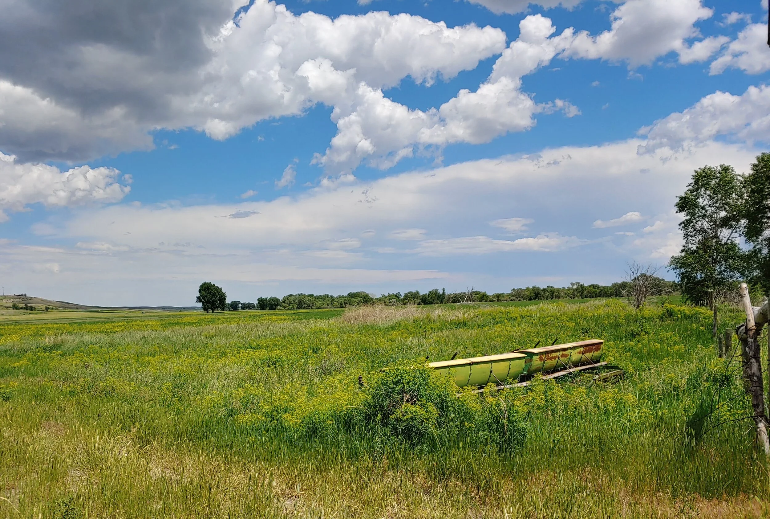 SUN RIVER WATERSHED GROUP