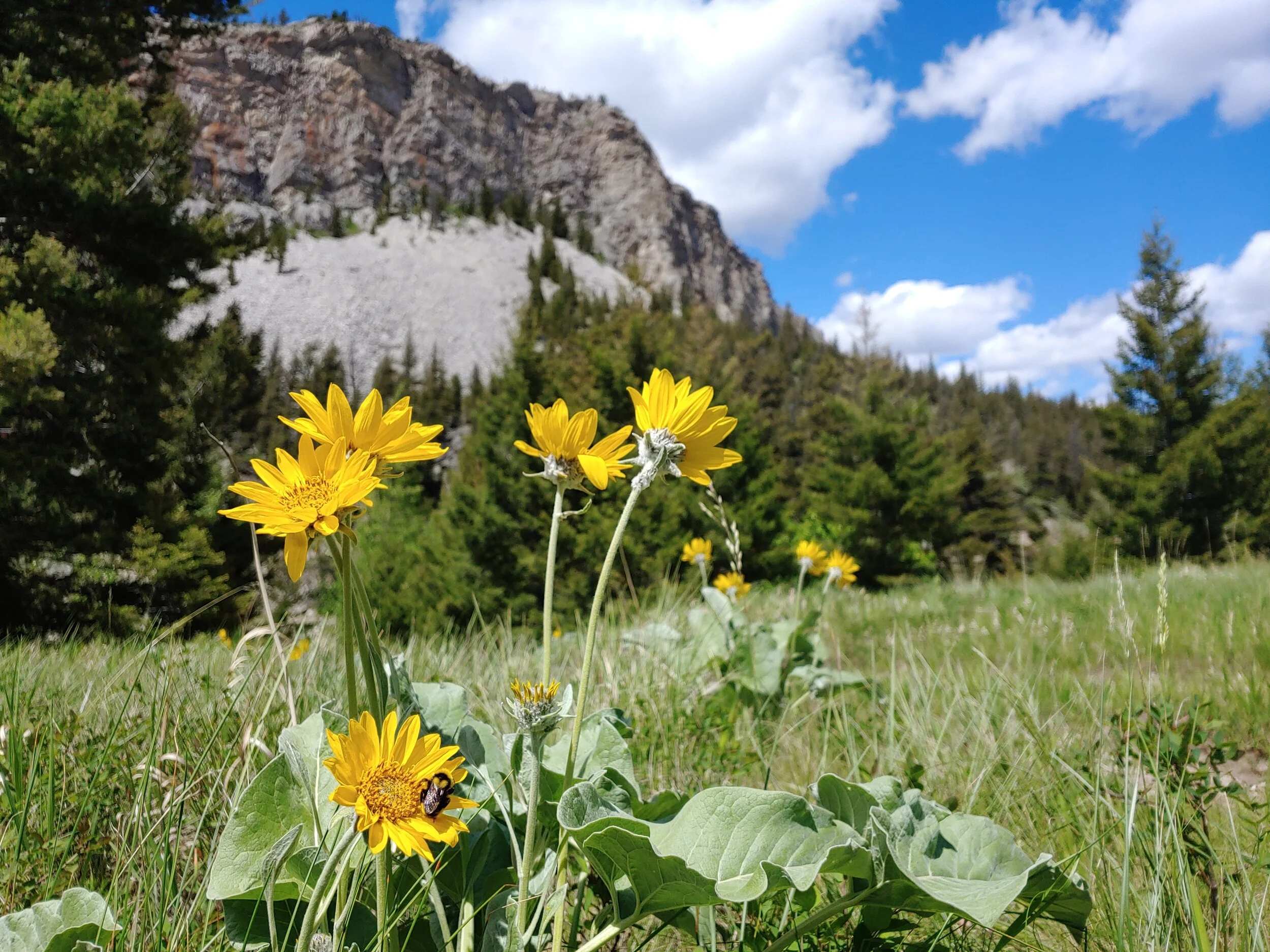 SUN RIVER WATERSHED GROUP