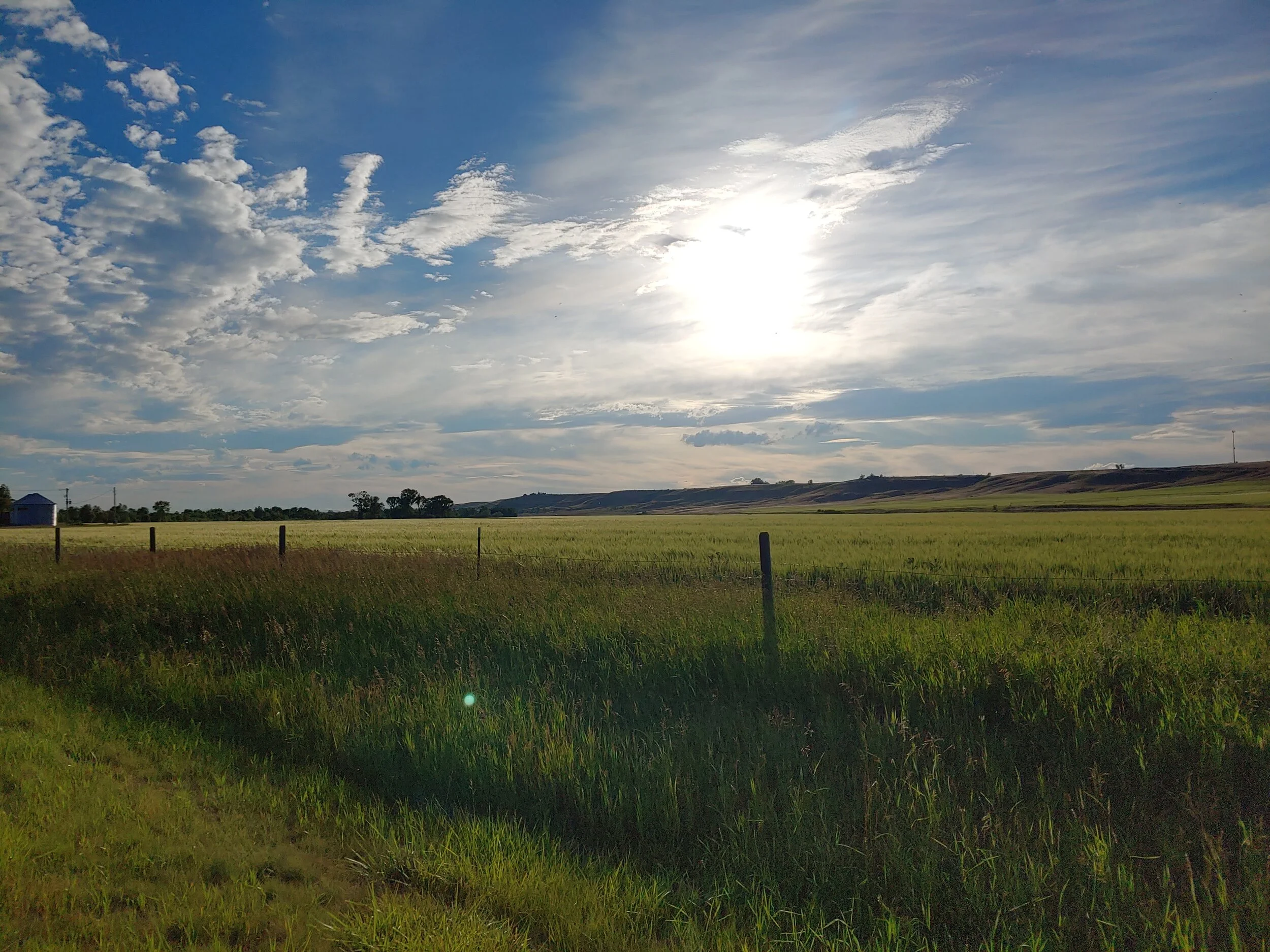 SUN RIVER WATERSHED GROUP
