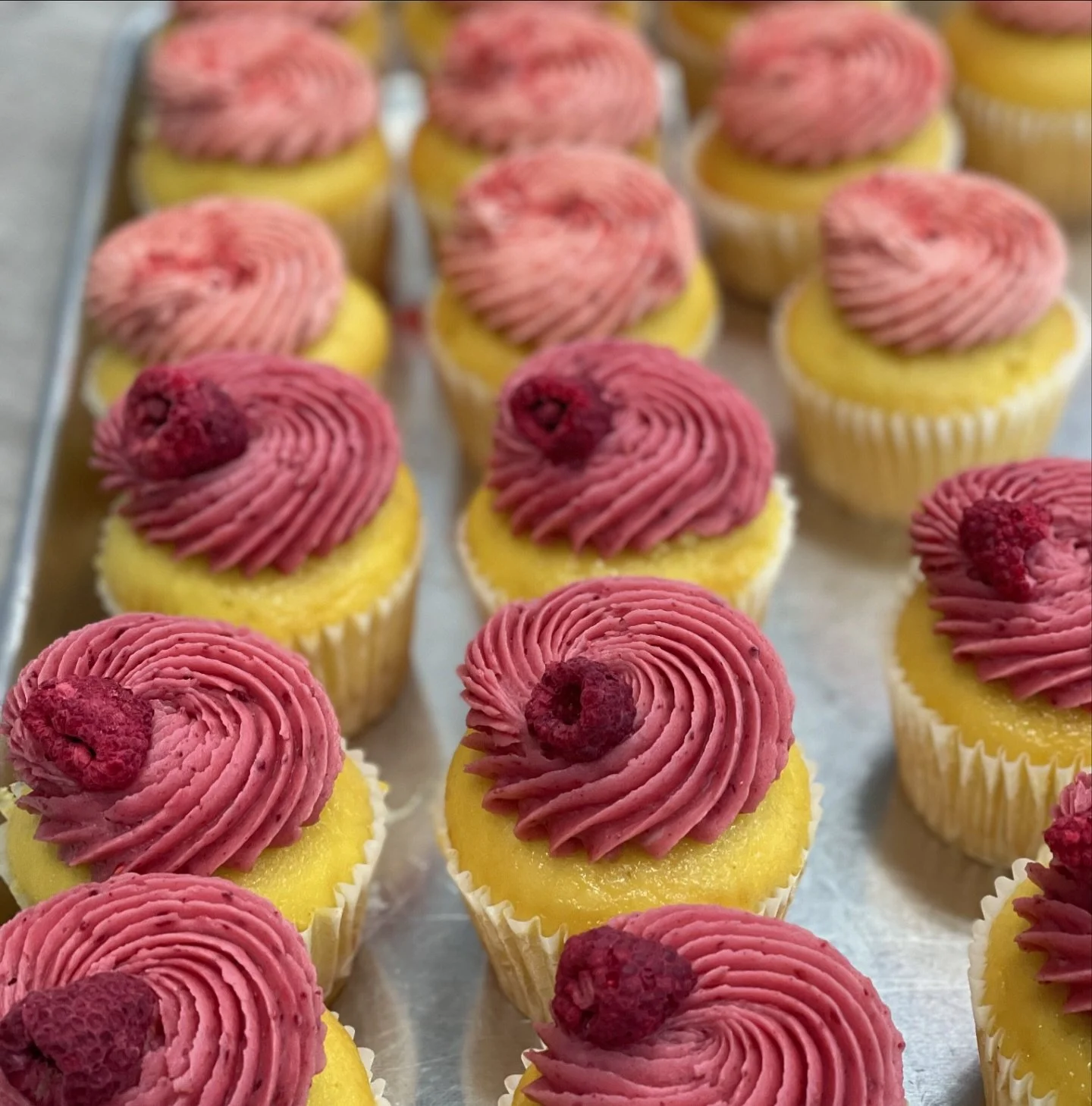 Gallery — MRS SCOTT'S SWEETS