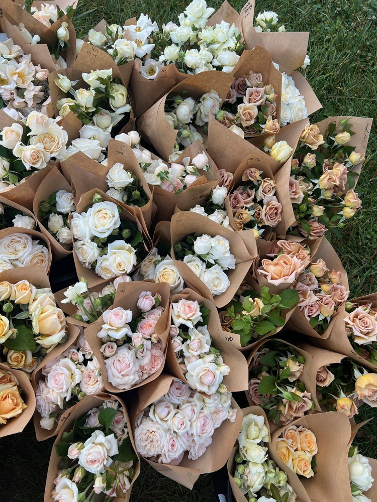 Garden Roses — Flores Temporis, LLC