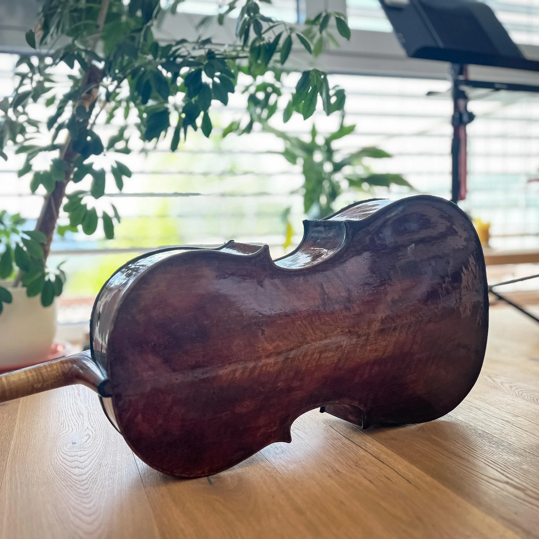 Mathias Johansen Cellist