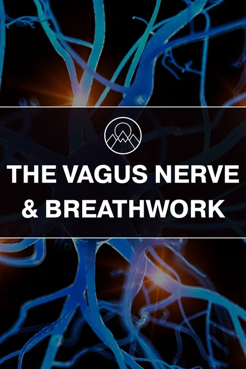 Breathwork and the Vagus Nerve — Breathing Space