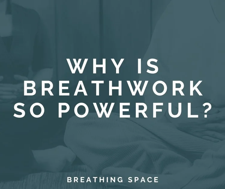 Why is Breathwork So Powerful? The Science of the Manual Override ...