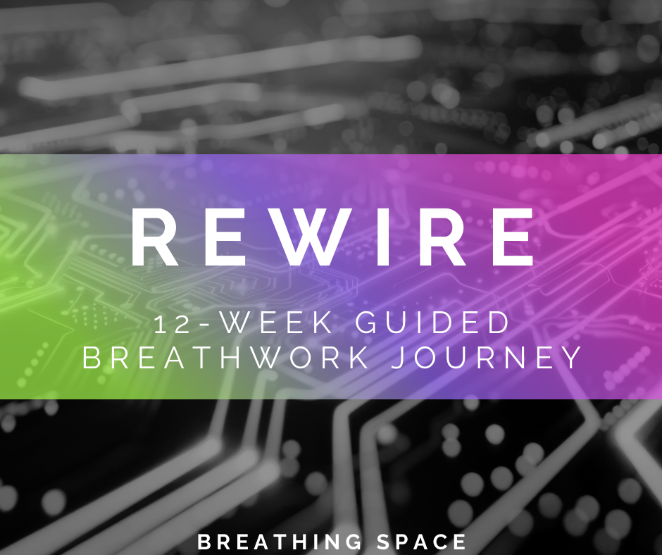 Online Breathwork Courses & Training: Free & Paid | Breathing Space