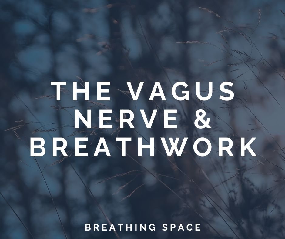Vagus Nerve & Breathwork: How Breathing Calms the Nervous System ...