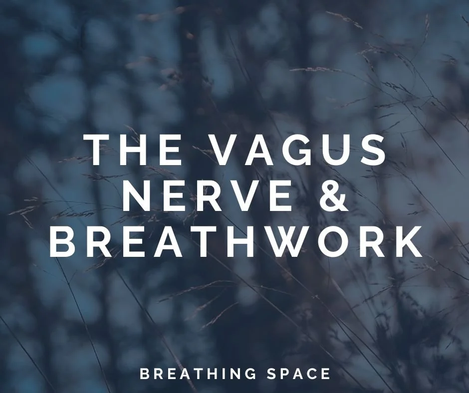Vagus Nerve & Breathwork: How Breathing Calms the Nervous System ...