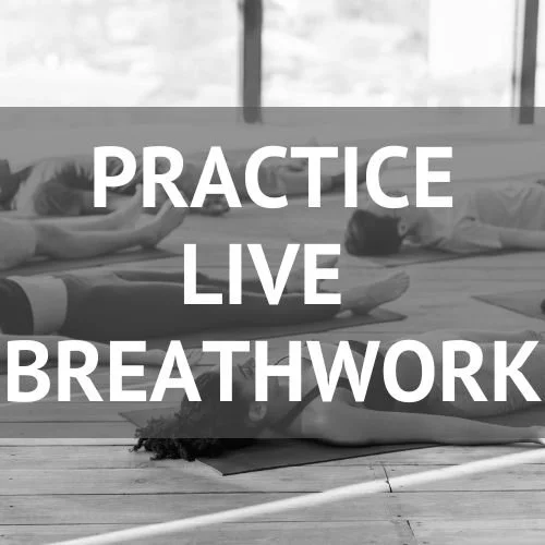 Online Breathwork Courses: Free Breathwork, Beginner Courses, Trauma ...