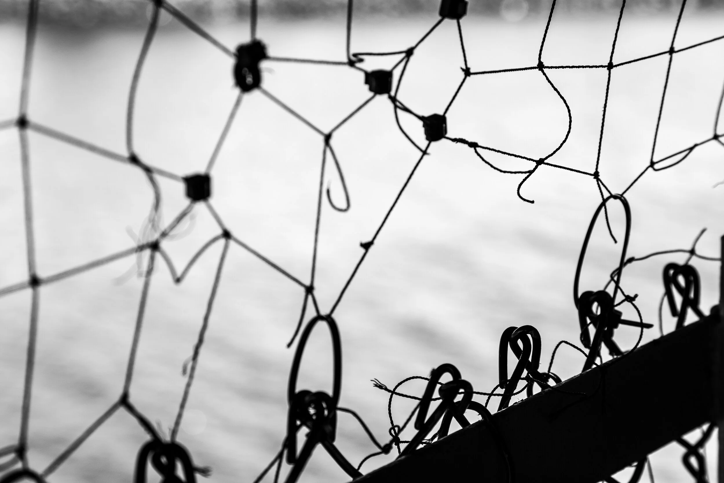 Blog — L'Arte Photography