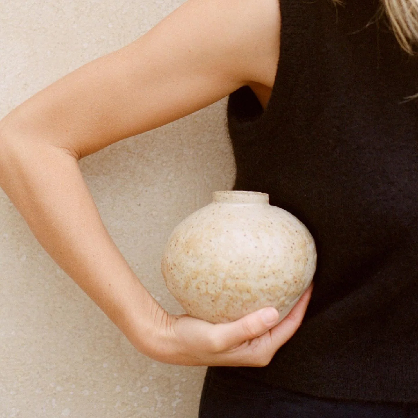 shipping — toro studio