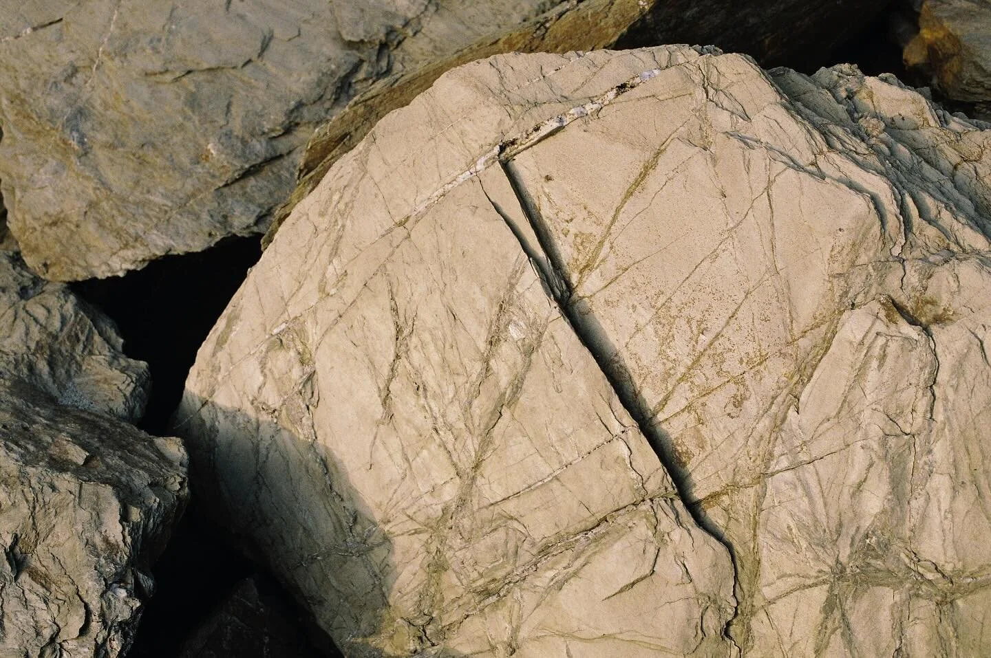 about — toro studio