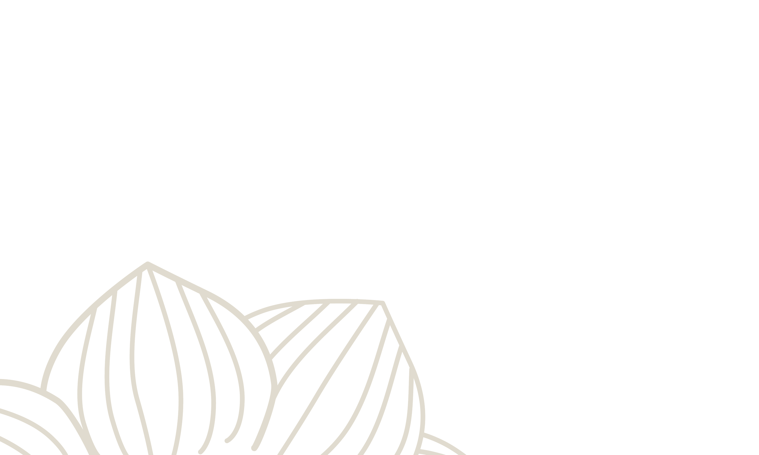 Meet Our Edina Wellness Team | CFC Health Twin Cities — CENTER FOR ...