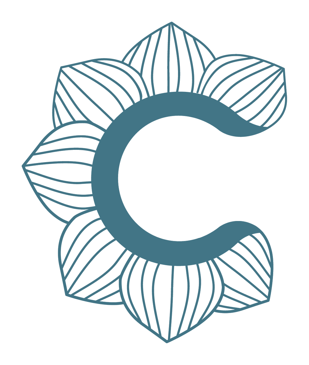 CENTER FOR COLLABORATIVE HEALTH