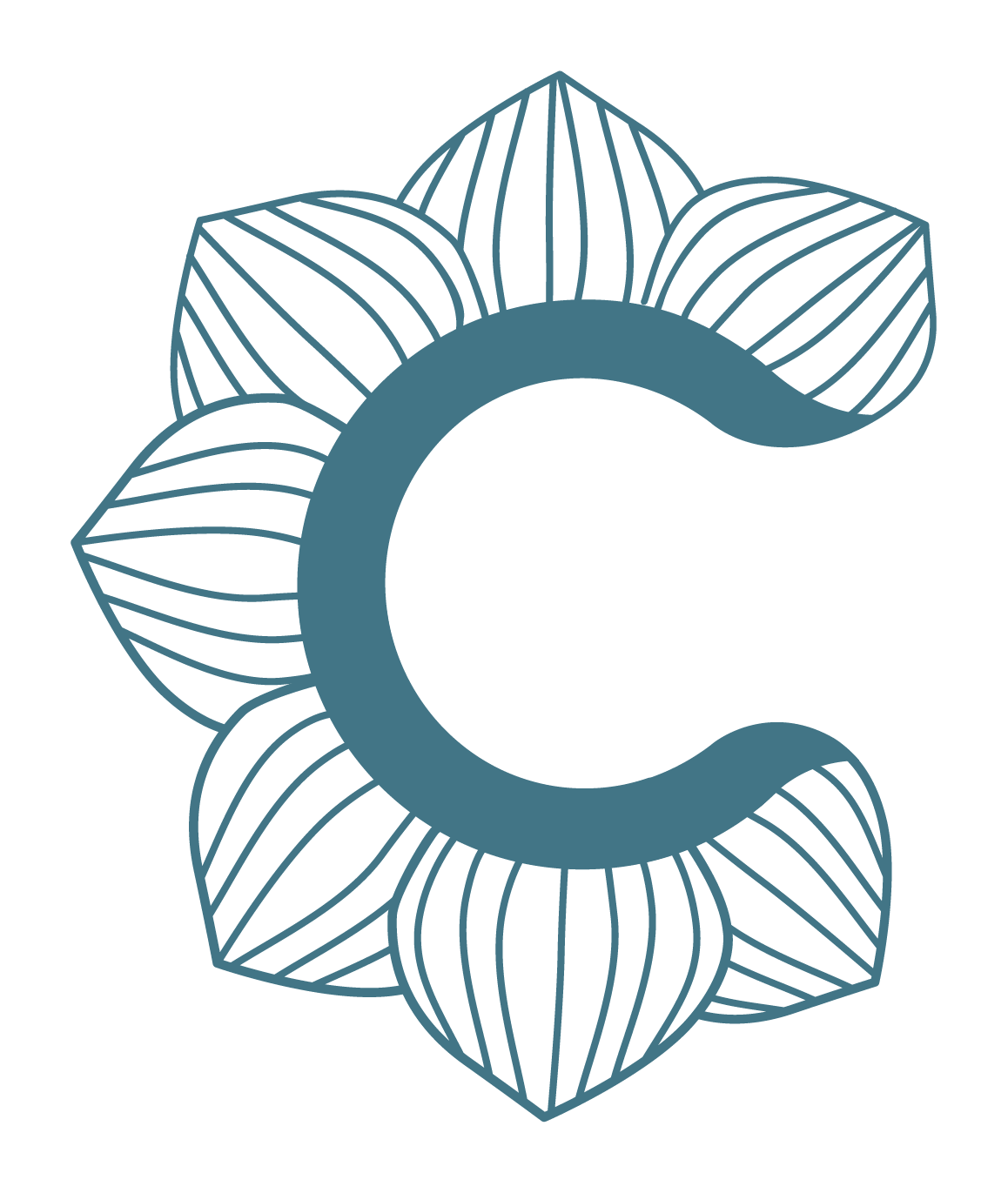 CENTER FOR COLLABORATIVE HEALTH