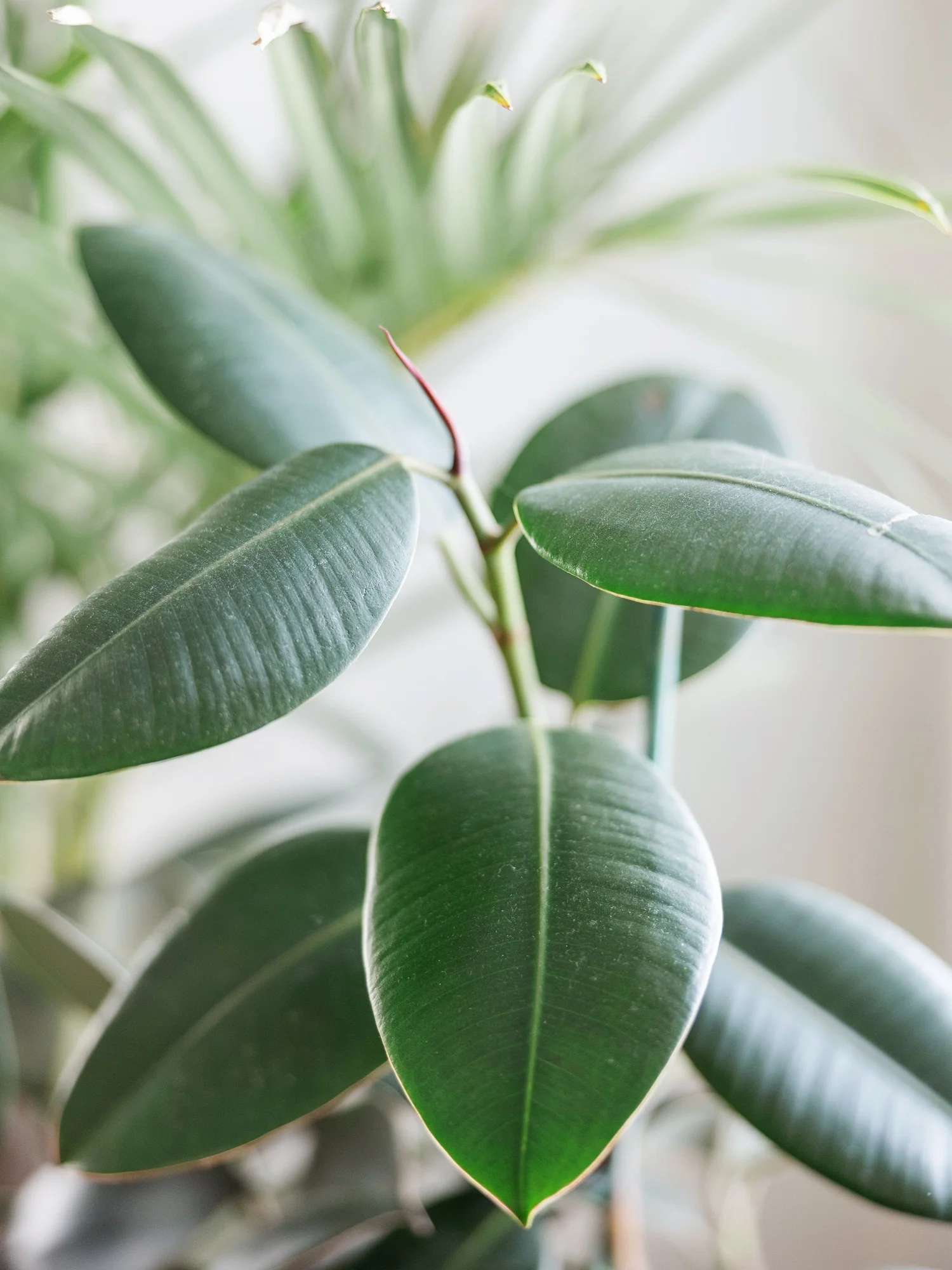 Our Team — CENTER FOR COLLABORATIVE HEALTH