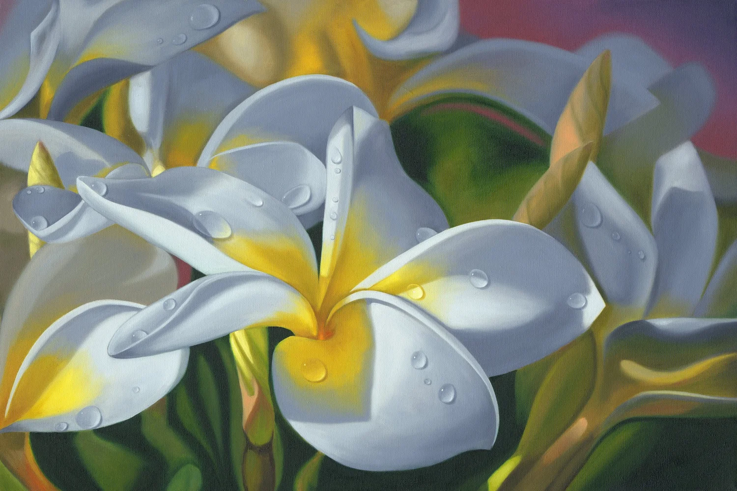 About 1 — Louanne Korver Oil Paintings