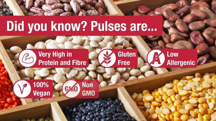 WORLD PULSES DAY — INTERNATIONAL DAYS